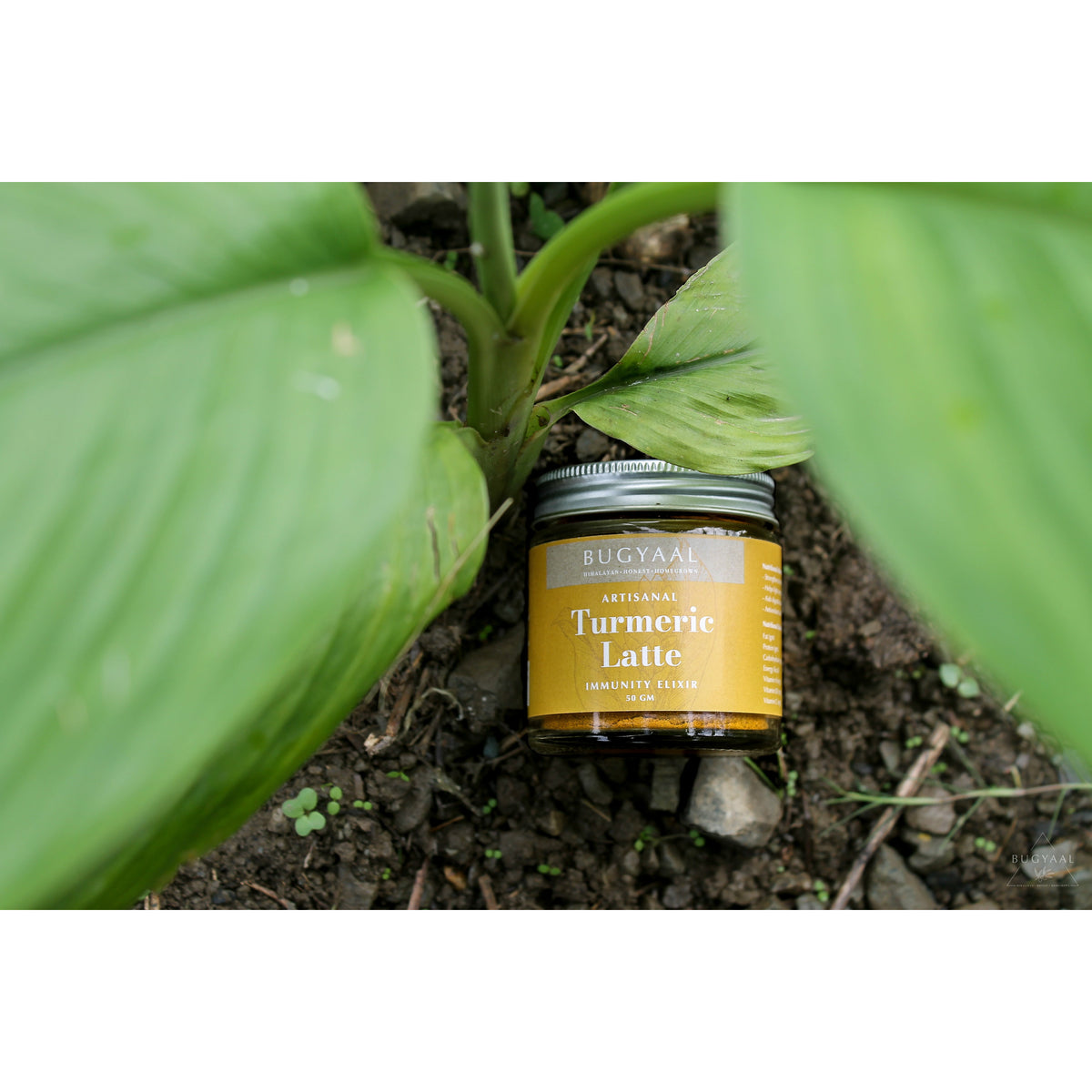 Bugyaal Artisanal Turmeric Latte – Immunity-Boosting Superfood Blend – Shilp - The Conscious Store